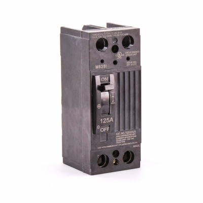 TQD22125 | Thermal Magnetic | Molded Case Circuit Breakers | Circuit ...